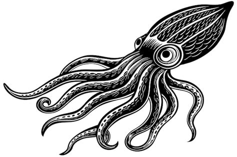 Premium Vector Black Squid Vector Isolated On White