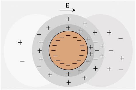 Sketch Of The Coupled Polarization Of Stern And Diffuse Layer Due To