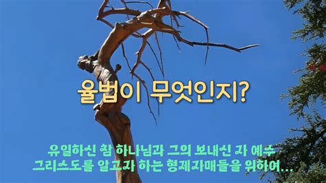 율법이 무엇인지 Youtube