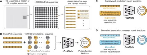 Protnote A Multimodal Method For Protein Function Annotation Pmc