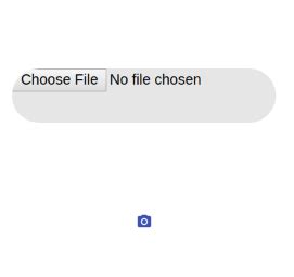 Reactjs Material UI Upload Button Showing No File Chosen Stack Overflow