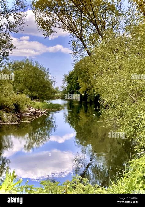 Beautiful River View Through The Trees Stock Photo Alamy