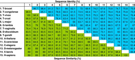 Summary Of Nucleotide Sequence Identity And Similarity Analysis Amongst