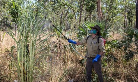 Identifying High Priority Areas In Northern Australia For Threat Abatement Species Recovery