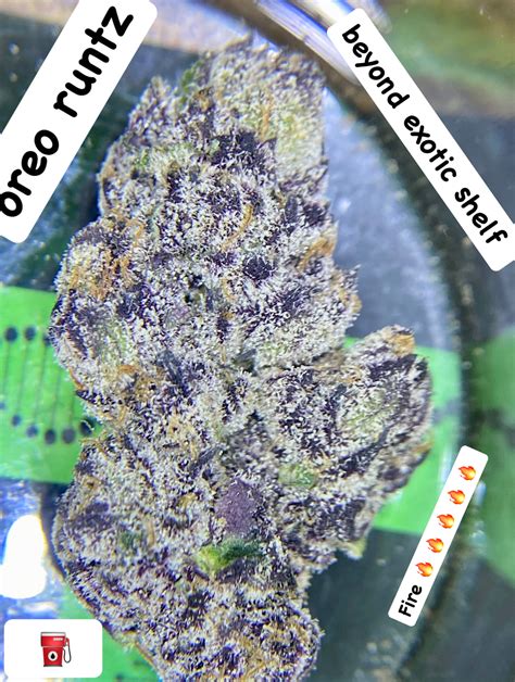 Oreo Runtz Platinum Shelf Indica