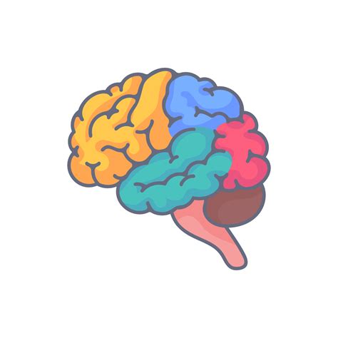 Human Brain Jagged The Concept Of Developing Learning And Creativity