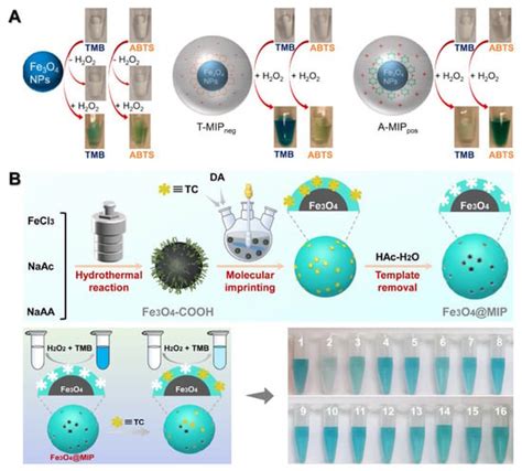 Rational Design Of Nanozymes Enables Advanced Biochemical Sensing