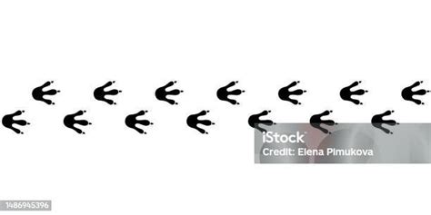 드래곤 발자국 라인 손으로 그린 공룡 발자국 드래곤 풋 실루엣 공룡의 귀여운 흔적 질감 흰색 배경에 분리된 벡터 그림 갈고리 발톱에 대한 스톡 벡터 아트 및 기타 이미지