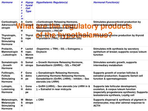University Of Texas El Paso University Of Massachusetts At Boston Ppt Download