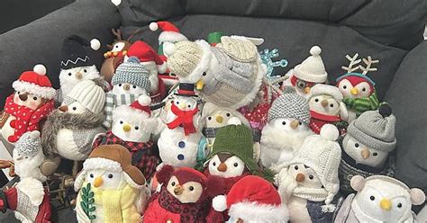 I Think We Have A Target Bird Problem Album On Imgur