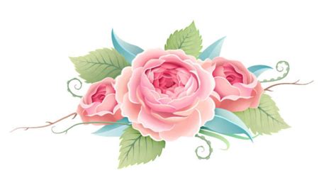 Illustrator Tutorial Create A Bouquet Of Peonies Vectorportal Blog