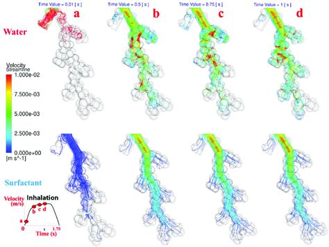 Visualization Of Different Velocity Streamline Patterns For The Download Scientific Diagram