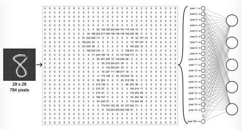 sgd and applications in deep learning by inara koppert anisimova