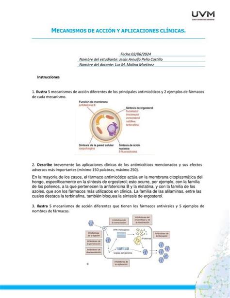 A7 Japc Yisus Peña Udocz