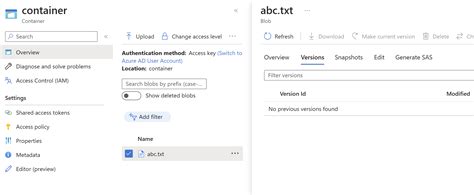 Blob Versioning Is Enabled But Version Id Is Blank Microsoft Qanda