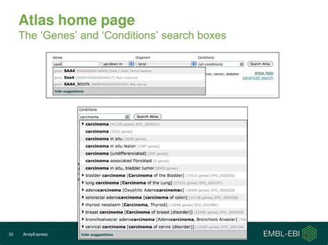 Ppt Arrayexpress And Expression Atlas Mining Functional Genomics Data Powerpoint Presentation