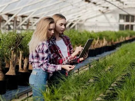 User Centric Design In Agricultural Software Development Key Lessons