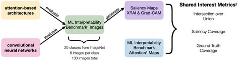 Shared Interest…sometimes Understanding The Alignment Between Human Perception Vision