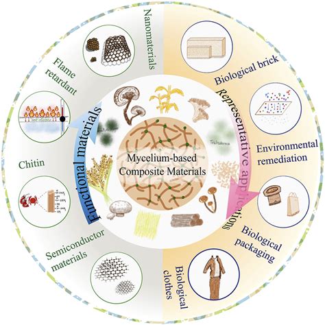 Comprehensive Overview Of Mycelium Based Composites Composite Download Scientific Diagram