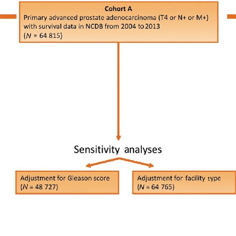 -Study cohort eligibility CONSORT diagram and cohort criteria. NCDB ...