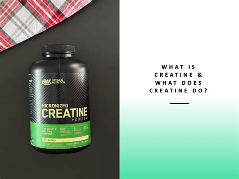 What Is Creatine & What Does Creatine Do?