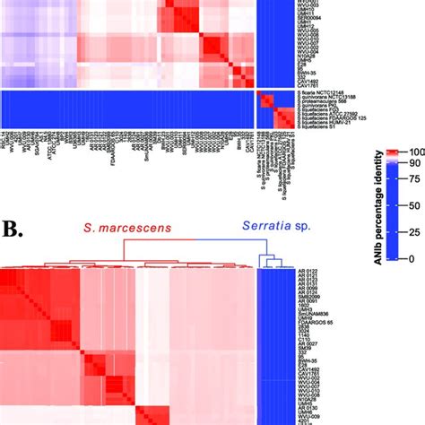 Discrimination Of Serratia Spp Based On The Hisst Scheme And Download Scientific Diagram