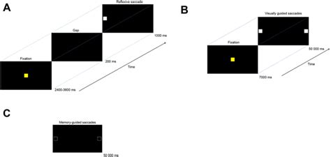 Experimental Paradigm For A Reflexive Saccade Task Example Shows A Download Scientific