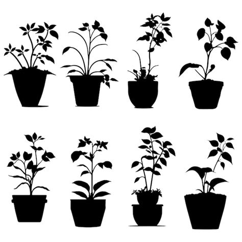 Premium Vector Beautiful Small Plants Silhouette Vector Plants Pot