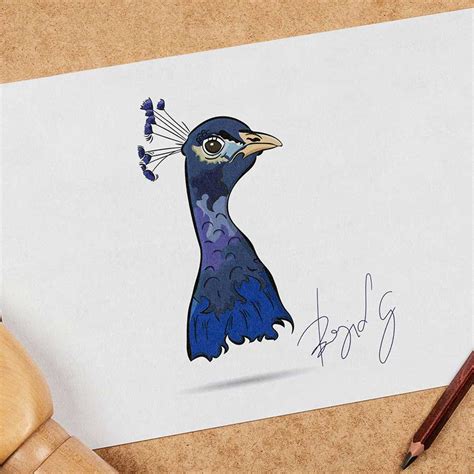 Peacock Illustration Gordana Bogic Design