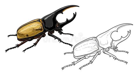 Intricate South American Hercules Beetle Coloring Sheet With Detailed