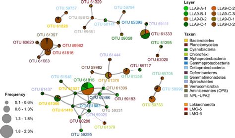 Co Occurrence Network Built Using The 69 Otus Present In At Least 10 Download Scientific