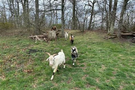 Erin Eberhardt Author At The Trek