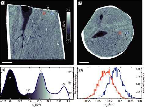 Tomographic Reconstruction And Density Histograms Provided By X Ray