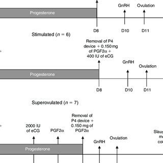 Hormonal Treatment Protocol For Oestrus Synchronisation Stimulation Of