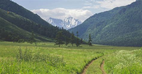 Freenginx Core Nginx Developer Announces Fork Of Popular Web Server Infoq