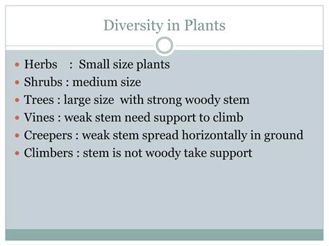 Types Of Roots And Plant Classification Ppt Types Of Roots And Plant Classification Ppt