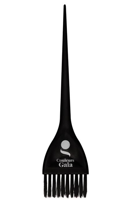Pinceau Noir à Poils Pinc Np C1 Couleurs Gaïa