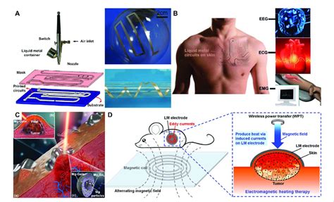 Methods Of Preparing LM Circuits Directly On The Skin A The Download Scientific Diagram