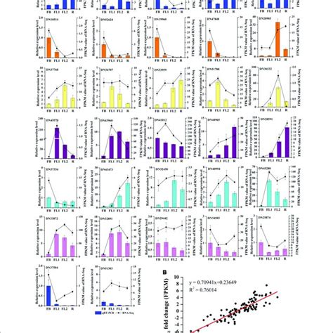 Qrt Pcr Validation Of Gene Expression Level In The Transcriptome A Download Scientific