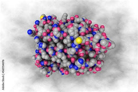 Human Estrogen Related Receptor Gamma Ligand Binding Domain In Complex With Bisphenol A Protein