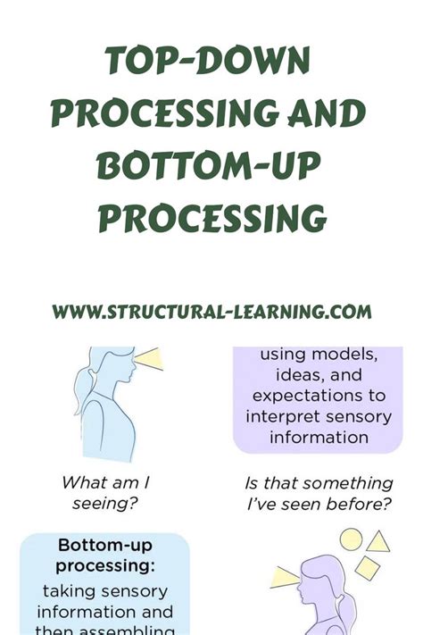 Top Down Processing And Bottom Up Processing In 2024 Educational Theories Classroom