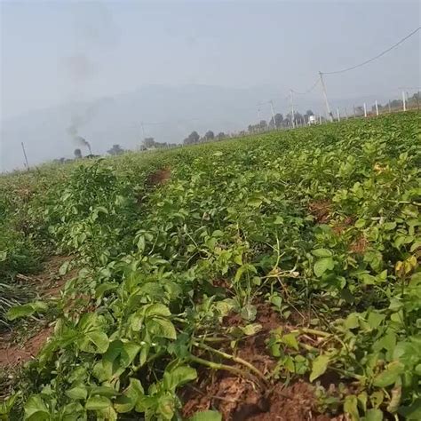 Debjit Mukherjee On Linkedin Fieldinspection Sustainableagriculture