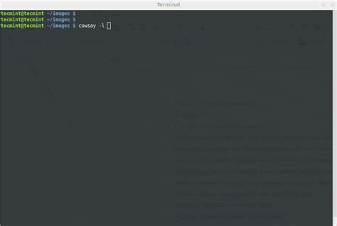 终端中的乐趣：6个有趣的linux命令行工具 Linuxstory