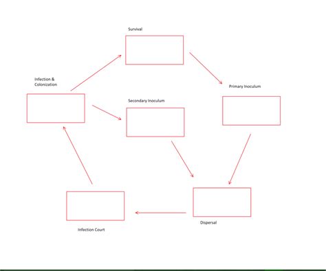Common Smut Of Corn Diagram Quizlet