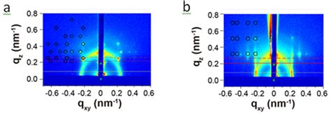 Secrets Of Membrane Formation Revealed Chess