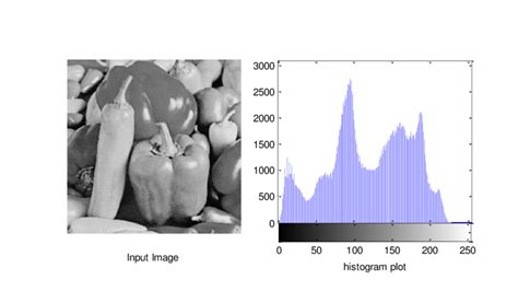 Input Image With It Histogram Plot Download Scientific Diagram