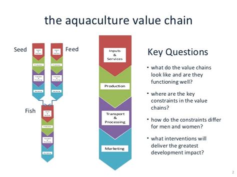 Tilapia Aquaculture Value Chain At Billy Tate Blog