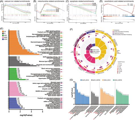 The Analysis Of Transcriptomics Proteomics And Metabolomics Ctrl Vs