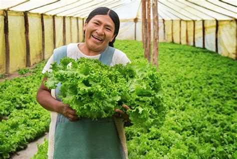 Impact Report 2023 Invest In Visions