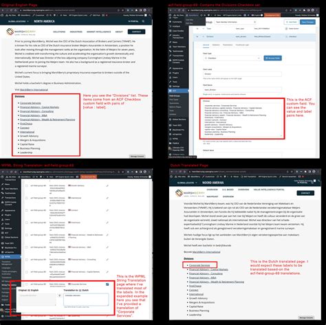How Do I Translate ACF Checkbox Labels WPML